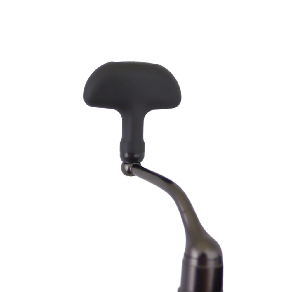 Daiwa BG 3000 Salt Water