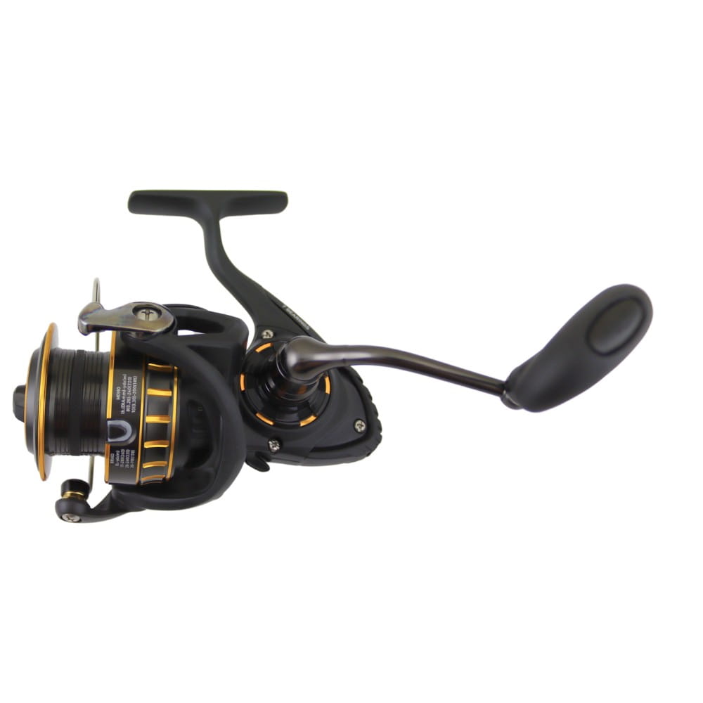 Daiwa BG 3000 Salt Water