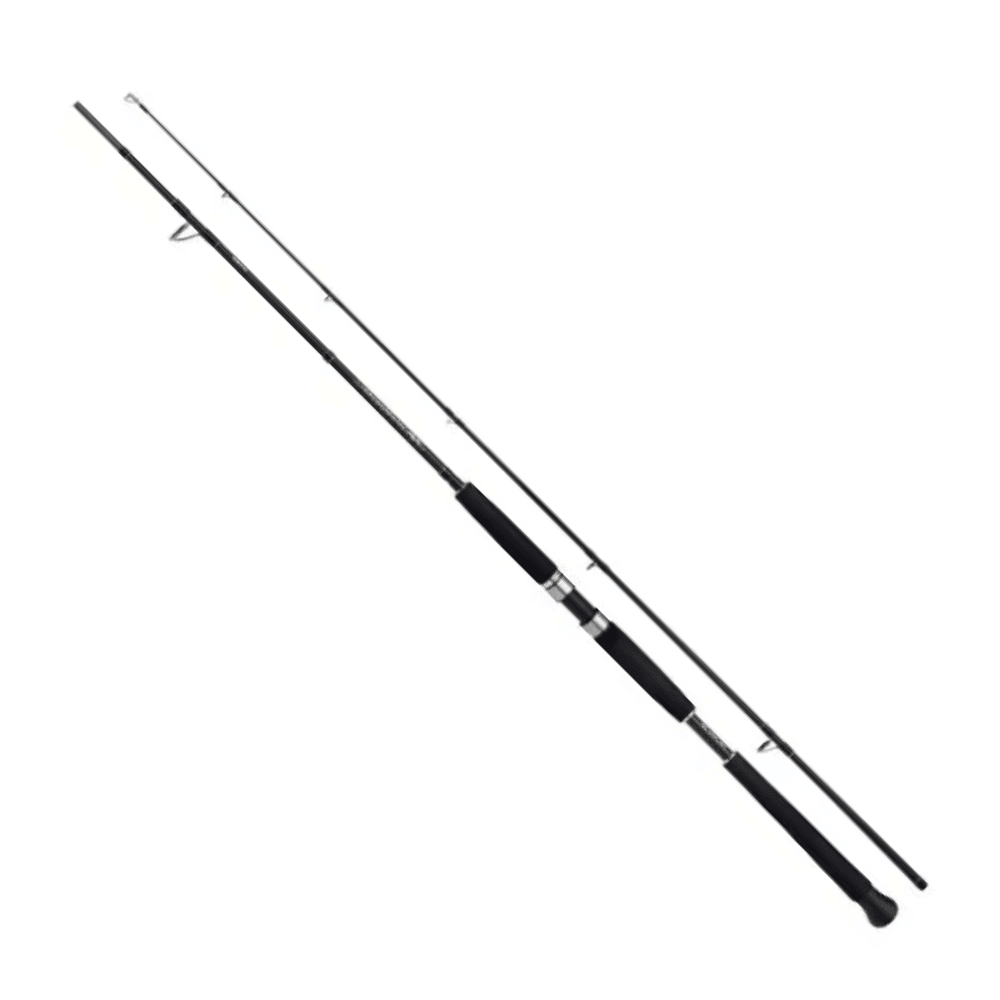 Shimano Beastmaster AX Pilk 240cm 100-200g | BMAXP24100200