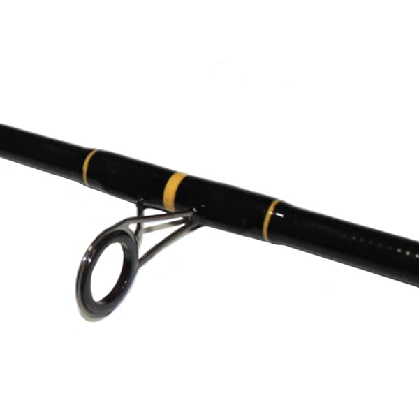 WFT Never Crack Big Fish 240 cm 150-700g